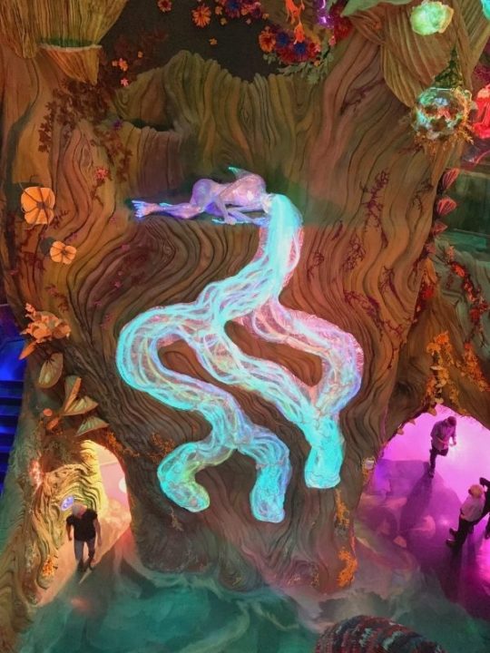 Meow Wolf Denver – A Guide To The Huge New Attraction – Oh My! Omaha