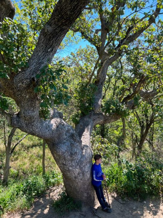 Ultimate Ponca State Park Family Guide – Oh My! Omaha