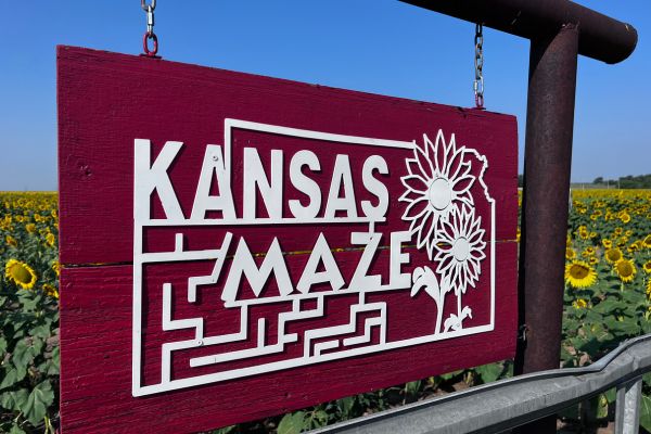 9 Fascinating Places In Kansas For Dinosaur Lovers – Oh My! Omaha